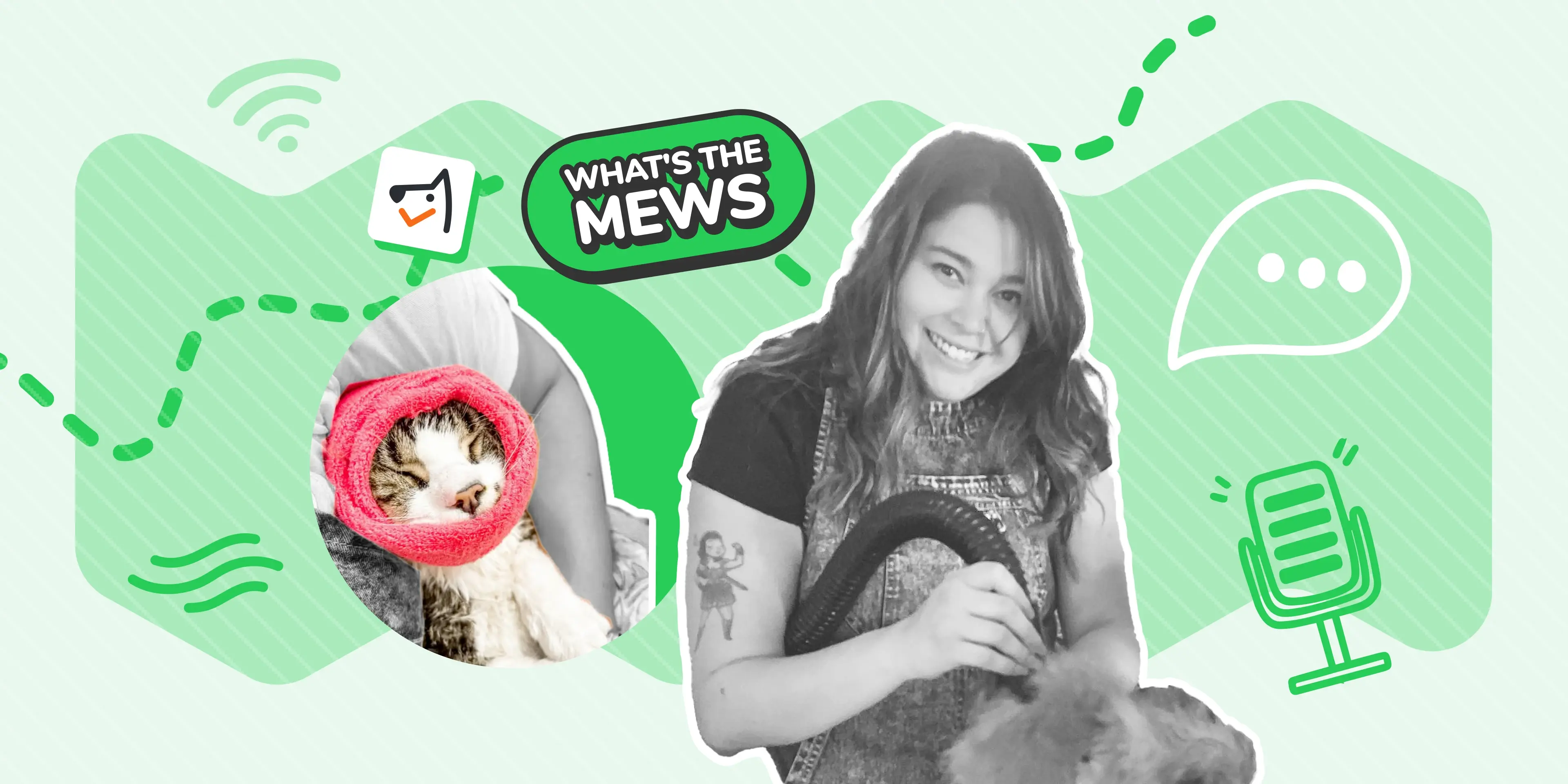 What’s the Meows x MoeGo: Mercedes’s Feline Success